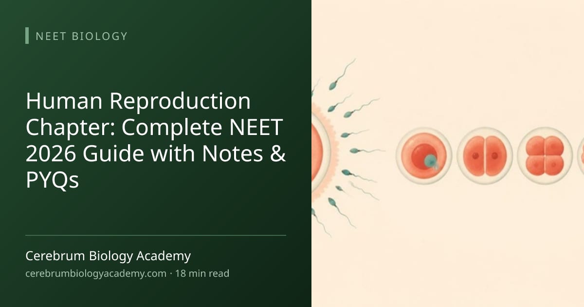 Human Reproduction NEET 2026: Complete Study Guide Expert | Cerebrum ...